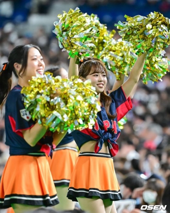 "韓 치어리더 보러 도쿄돔 온다" NPB도 감탄한 KBO 응원문화, 日 감독-에이스도 놀라워했다 [APBC 현장] : 네이트 스포츠