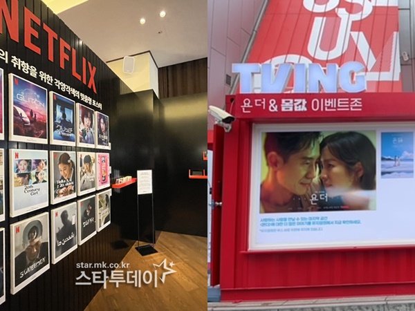 'OTT 꽃'이 활짝 피었습니다[2022 BIFF] : 네이트 연예