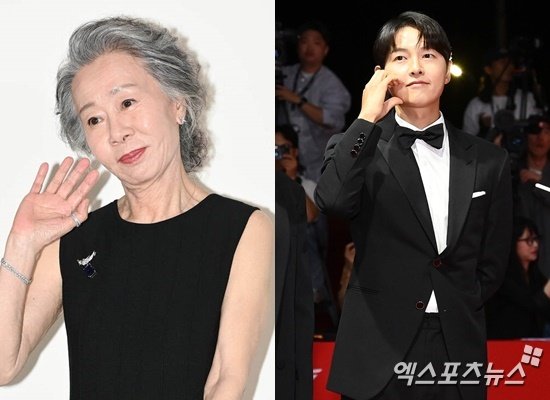 윤여정·송중기, 관객 눈맞춤…OTT 안은 이성민·안재홍, 반가운 인사 [BIFF 2023] : 네이트 연예