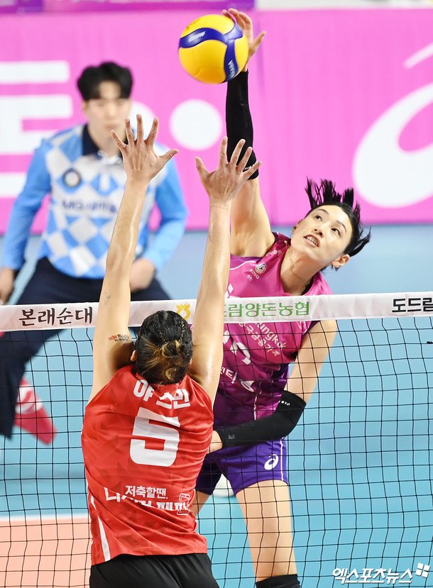 '2R MVP' 자축한 김연경, 옐레나와 흥국 9연승 견인…페퍼 6연패 수렁 [삼산:스코어] : 네이트 스포츠