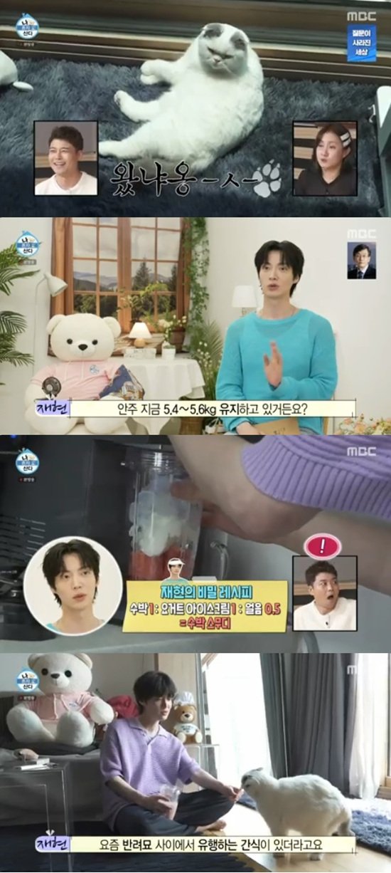 "종이인형이야?"안재현, 키 186cm인데 '몸무게=69.8kg' (나 혼자 산다)[종합] : 네이트 연예