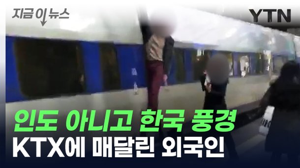 인도 아니고 한국 풍경 맞음…KTX에 매달린 외국인 [지금이뉴스] : 네이트 뉴스