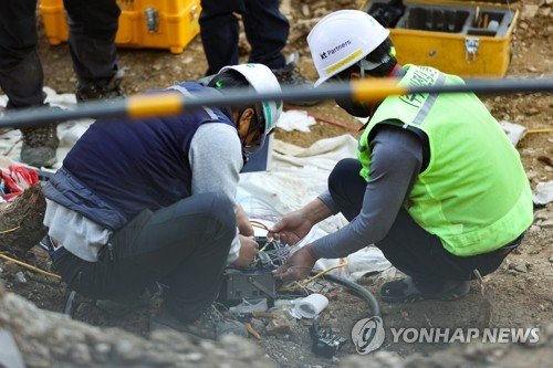 KT 광케이블 절단…서울시 수목작업 도중 발생 : 네이트 뉴스