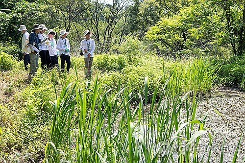 KT, 'KT DMZ 생태보전단' 프로그램 진행 : 네이트 뉴스