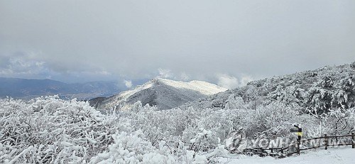 3월의 설경 자랑하는 지리산 노고단 : 네이트 날씨