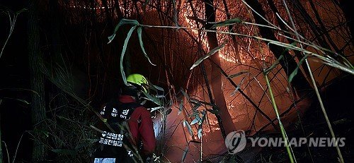 9일째 접어든 산청 산불…"오늘 지리산 주불 진화 목표"(종합) : 네이트 뉴스