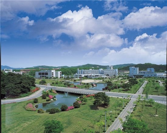 KAIST ‘세계 으뜸 대학’ 도전 : 네이트 뉴스