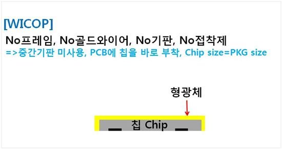 서울반도체, 신개념 LED 와이캅(Wicop) 양산 : 네이트 뉴스