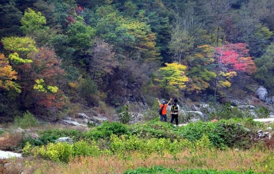 [조용준의 여행만리]지리산 물들인 가을, 걸어야 보이는 풍경 : 네이트 뉴스