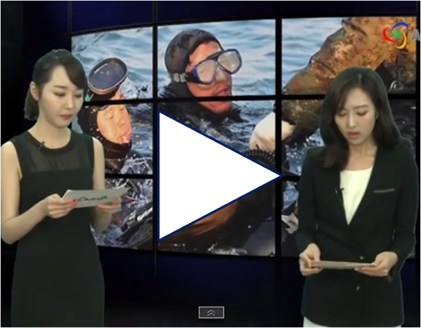 [AJU TV] 세월호, 잠수병에 시달리는 잠수부들… : 네이트 뉴스