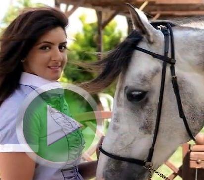 [AJU TV] 두바이 공주 만수르 첫 번째 부인 말 타는 영상 "코가 좀 크네?" : 네이트 뉴스