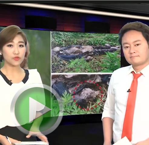 [AJU TV] 유병언 운전기사 양회정 씨 자수, 매실밭 사망 미스터리 밝혀질까? : 네이트 뉴스