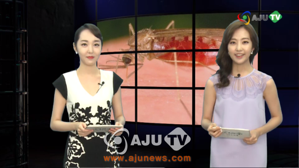 [AJU TV] 일본뇌염 경보, "십자가" "침"…별별 민간요법? : 네이트 뉴스