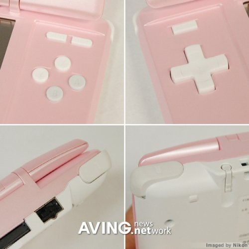 Daiwon CI, DS card type Electronic dictionary for Nintendo DS : 네이트 뉴스