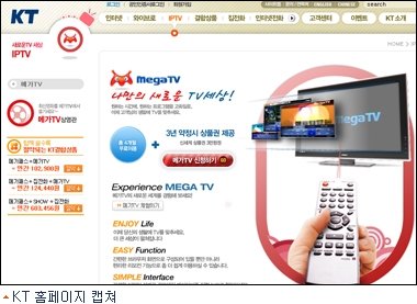 [단독]KT, 한치 앞도 못보는 IPTV 사업추진 : 네이트 뉴스