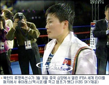 KBS SKY, "6월 평양 여자프로 복싱 중계한다" : 네이트 연예