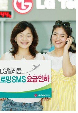 LG텔레콤, 해외 로밍 SMS 요금 인하 : 네이트 뉴스