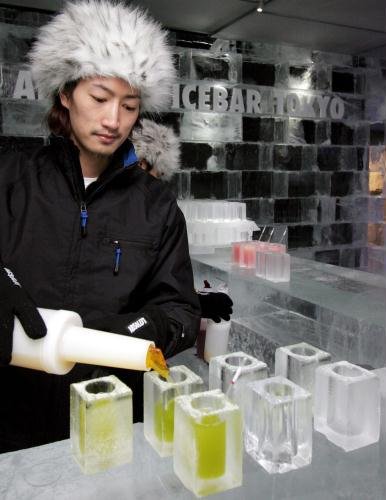 JAPAN ABSOLUT ICEBAR TOKYO : 네이트 뉴스