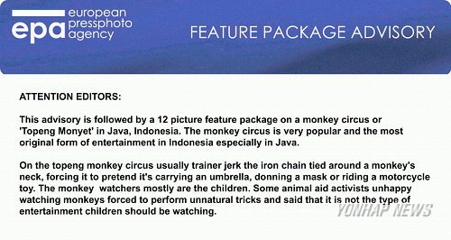 INDONESIA FEATURE PACKAGE MONKEYS CIRCUS : 네이트 뉴스