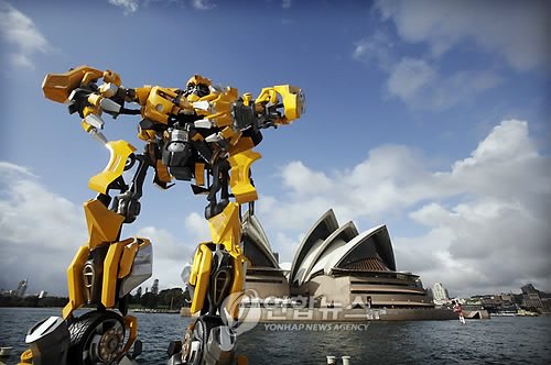 AUSTRALIA TRANSFORMERS BUMBLEBEE IN SYDNEY : 네이트 뉴스