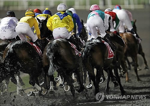UAE HORSE RACING DUBAI WORLD CUP : 네이트 뉴스