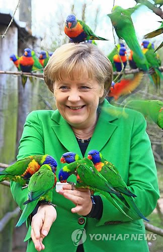 GERMANY MERKEL PARROTS : 네이트 뉴스