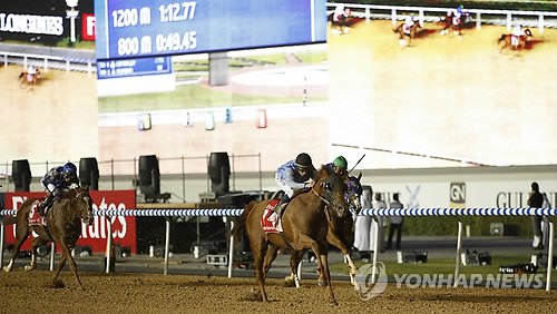 UAE HORSE RACING DUBAI WORLD CUP 2015 : 네이트 뉴스