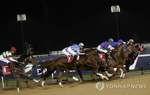UAE HORSE RACING DUBAI WORLD CUP 2015 : 네이트 뉴스