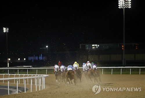 UAE HORSE RACING DUBAI WORLD CUP 2015 : 네이트 뉴스
