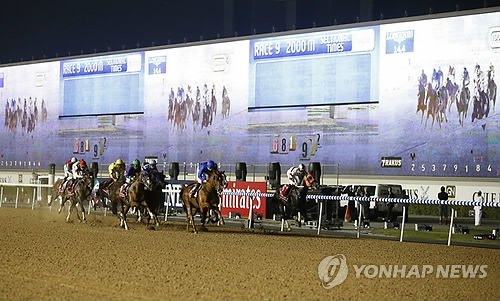 UAE HORSE RACING DUBAI WORLD CUP 2015 : 네이트 뉴스