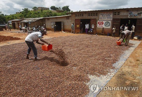 IVORY COAST AGRICULTURE CACAO : 네이트 뉴스