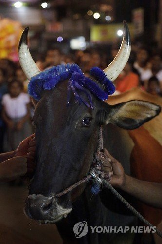 SRI LANKA RELIGION PATTINI CULT : 네이트 뉴스