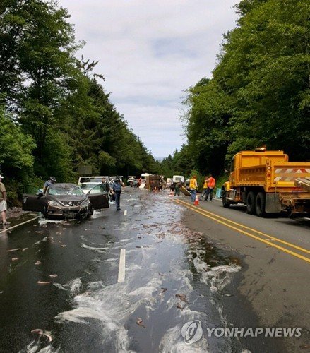 USA TRANSPORT ACCIDENT EELS SLIME : 네이트 뉴스