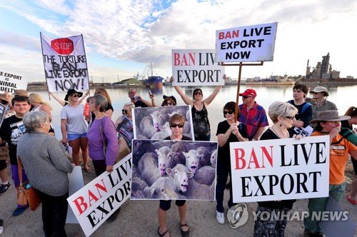 AUSTRALIA LIVE EXPORT PROTEST : 네이트 뉴스