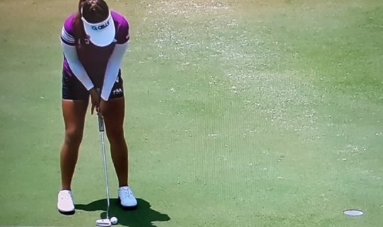 [LPGA]1.미셸 위 -17, 2.신지은 -16, 6.고진영 -15, 10.김세영 -12, 16.유소연 -10, 24.박성현 -7…HSBC 4R 성적 : 네이트 뉴스