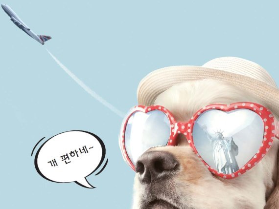 [yes+ Life] e커머스 통하면 여행이 편해진다! : 네이트 뉴스