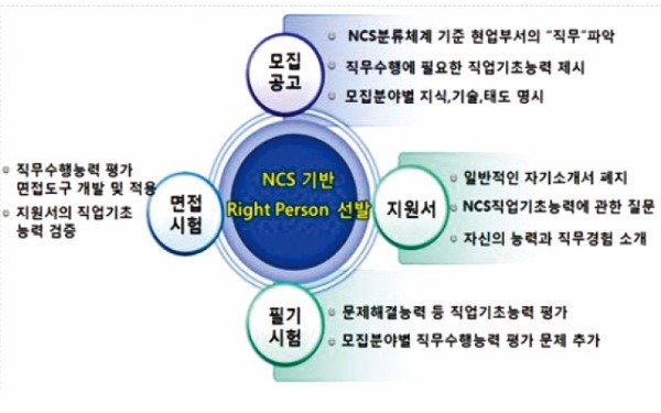IBK·신한은행·수협…금융권에 NCS 기반 채용 확산 : 네이트 뉴스
