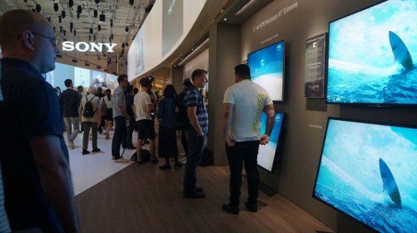 [IFA2016 결산]OLED냐 퀀텀닷이야…선택의 기로에 빠진 TV : 네이트 뉴스