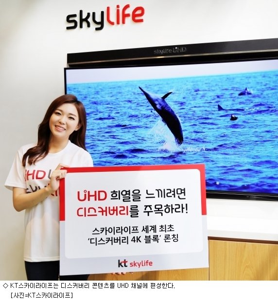 디스커버리 다큐, KT 스카이UHD 로 본다 : 네이트 뉴스