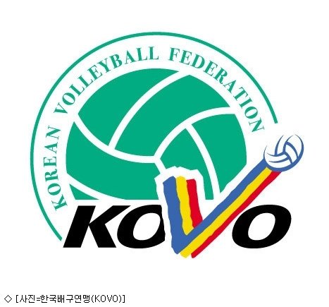 FA 규정 논의 KOVO 이사회 개최…김연경 문제는? : 네이트 스포츠