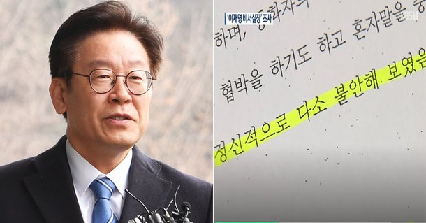 이재명 친형 강제 입원 시키려고 공무원 진술서 취합 의혹 네이트 뉴스
