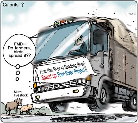 Yongmin's Cartoon "Go after FMD culprits" 김용민의 그림마당 : 네이트 뉴스