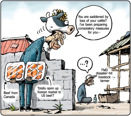 Yongmin's Cartoon "FMD disaster-hit farmers vs Consolatory measures for ...