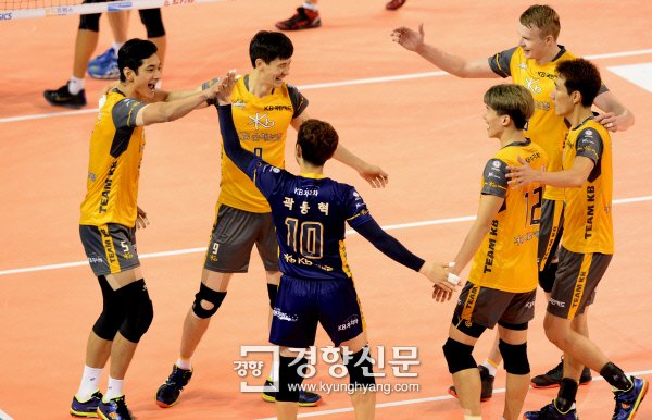 [경향포토]KOVO 컵- KB손해보험 우승도전! : 네이트 스포츠