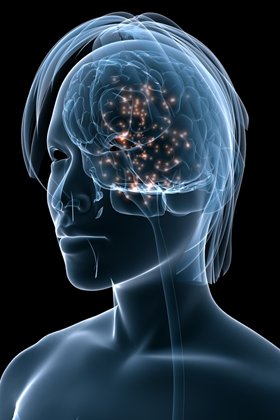 美 종합병원서 환자들 CJD 집단 노출 : 네이트 뉴스