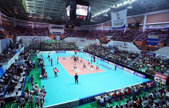 KOVO, 2014 프로배구 컵대회 안산서 개최 : 네이트 스포츠