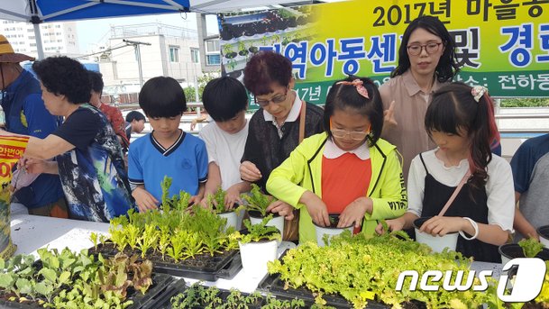 울산 동구 마을공동체 "경로당 수경텃밭 가꿔요" : 네이트 뉴스