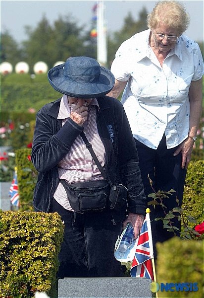 참배하는 한국전 참전 전몰장병 유족들 : 네이트 뉴스