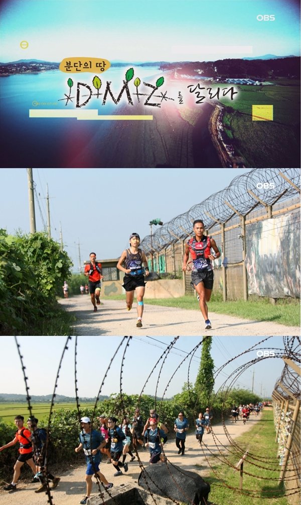 OBS, 특집 '분단의 땅, DMZ를 달리다' 9일 방송 : 네이트 연예