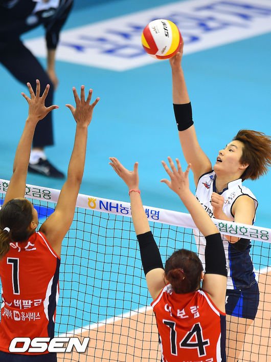 '김희진 펄펄' IBK기업은행, KGC 완파…삼성화재 개막 6연승(종합) : 네이트 스포츠